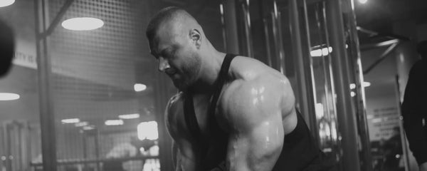 OFFICIAL WEIDER® SHOP | Seit 1936 – Weider Germany